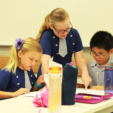 Days of Excellence – Brainways